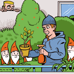 Urban gardening